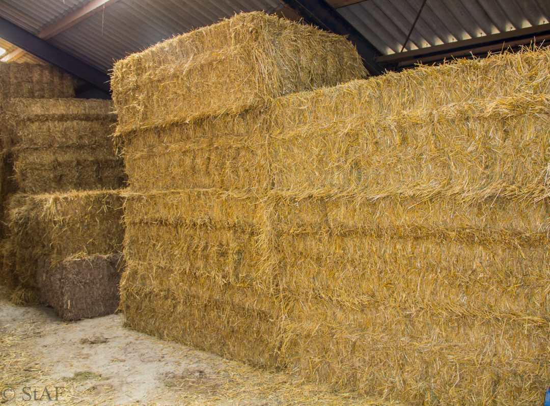 Stro pakken kopen? Loonbedrijf Nijboer - Verkoop stro Noord Nederland